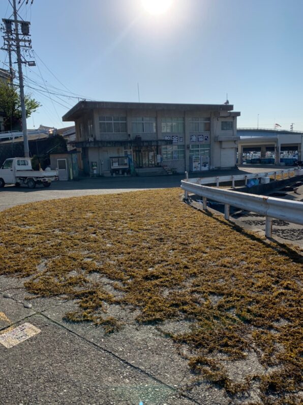 WELCOME SUGASHIMA - 菅島PORTAL