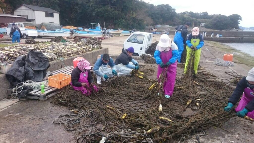WELCOME SUGASHIMA - 菅島PORTAL